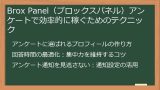 【2024年最新】Brox Panel（ブロックスパネル）アンケート徹底ガイド：仕組み、稼ぎ方、安全性、評判まで - ポイ活賢者の備忘録